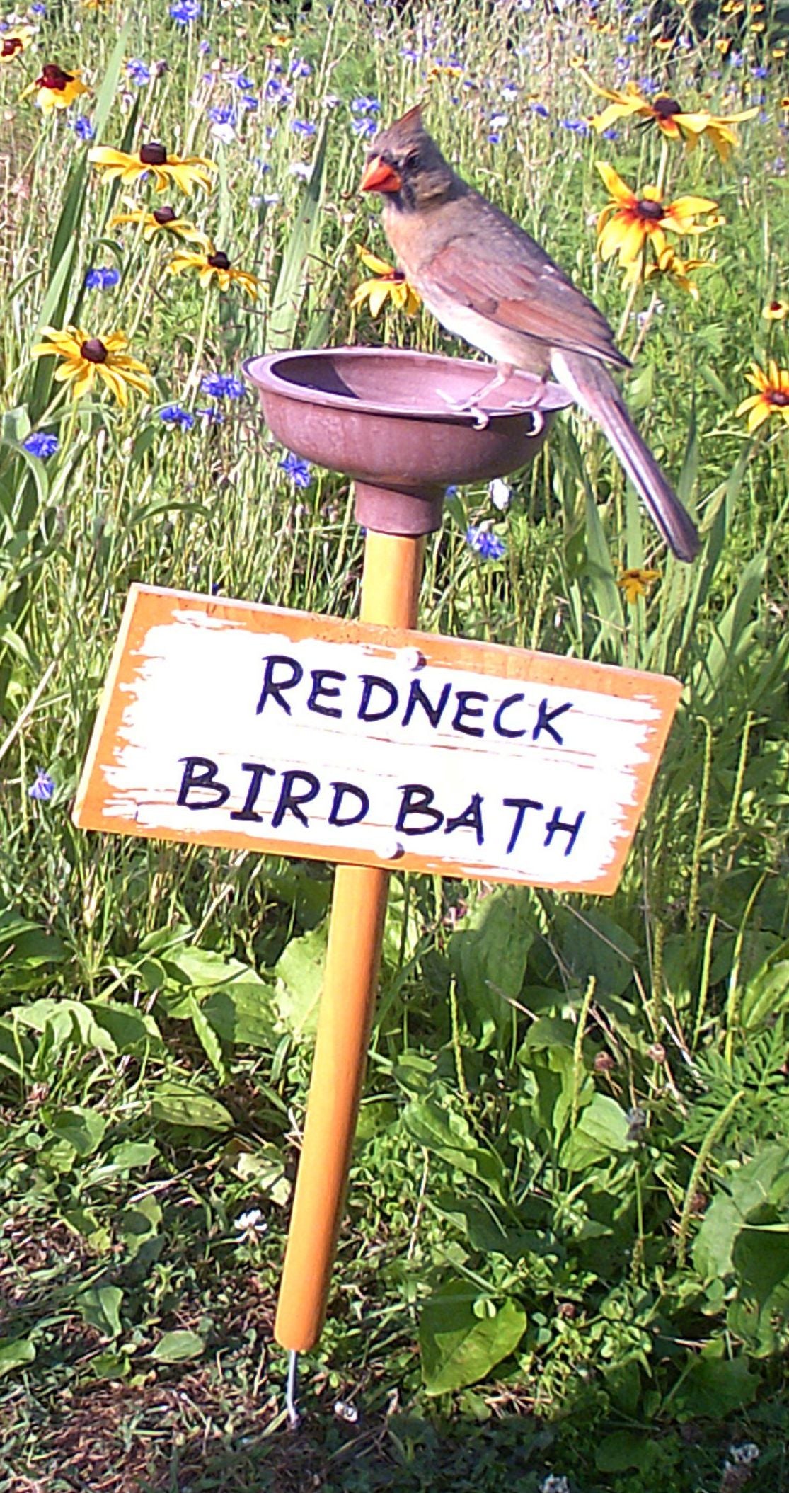 Redneck Bird Feeder / Bird Bath. Made from a Toliet Plunger!!!