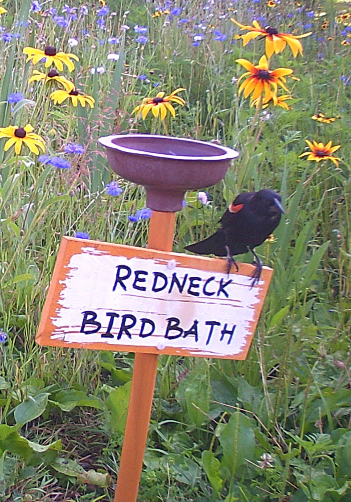 Redneck Bird Feeder / Bird Bath. Made from a Toliet Plunger ...
