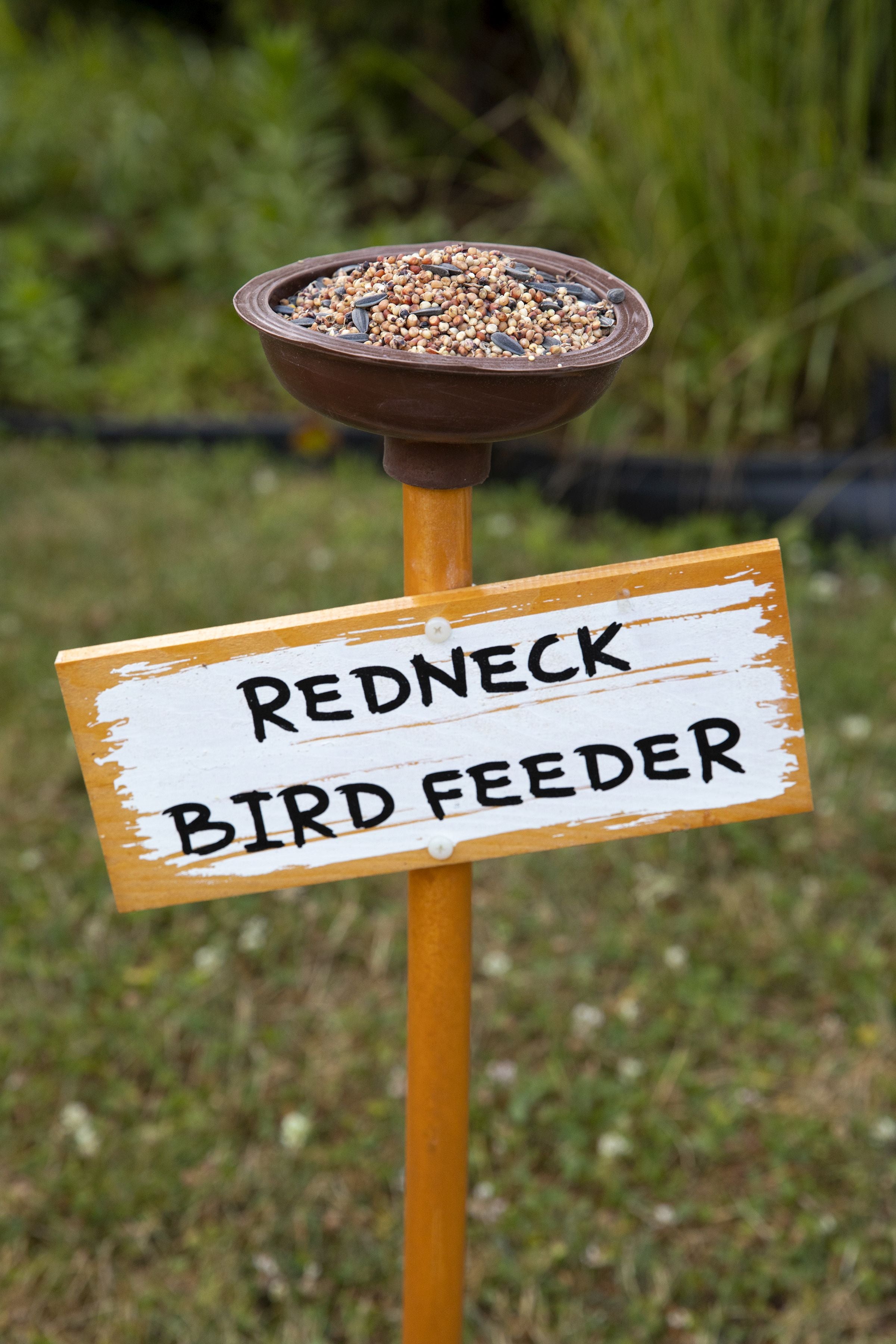 Redneck Bird Feeder / Bird Bath. Made from a Toliet Plunger ...