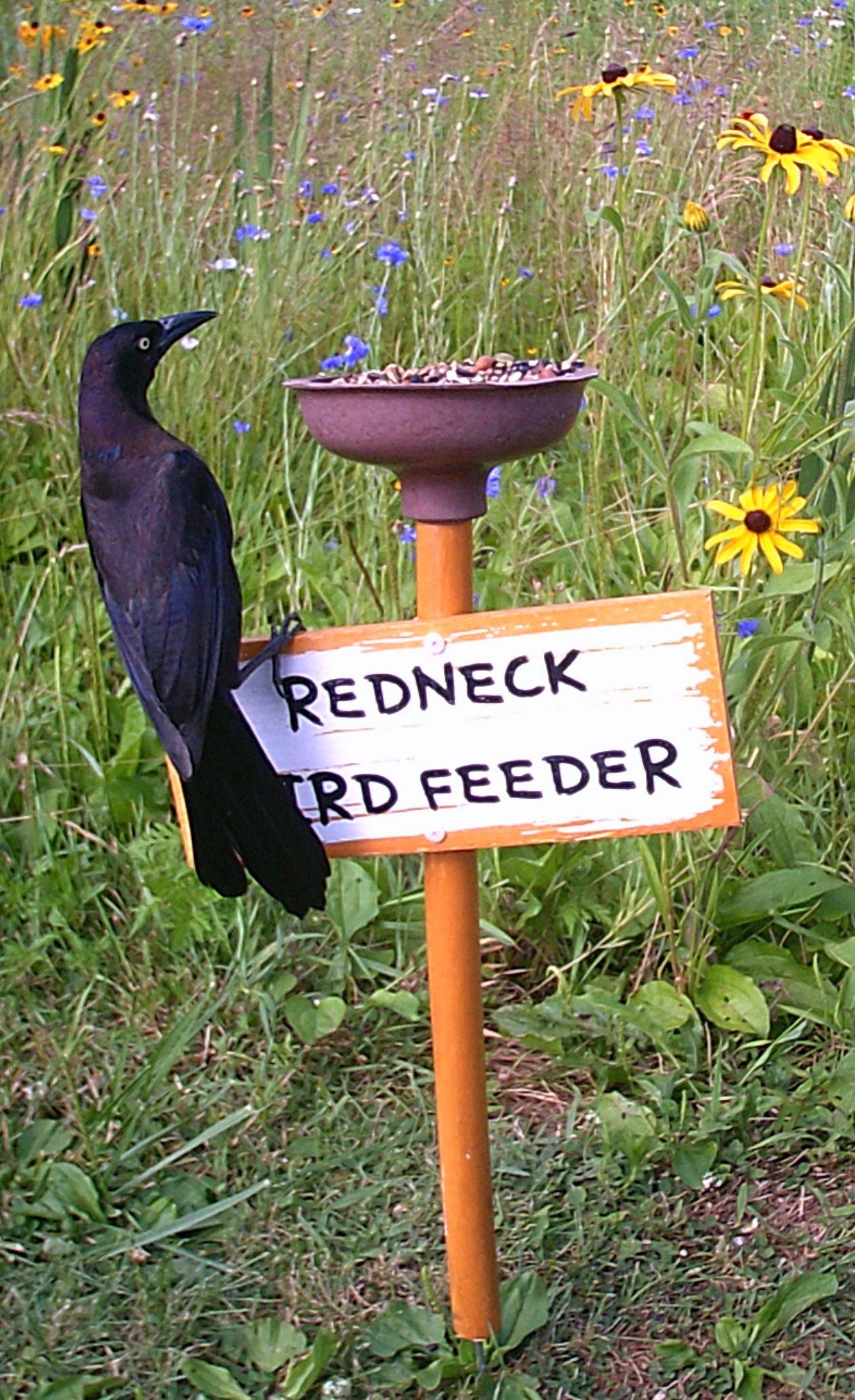 Redneck Bird Feeder / Bird Bath. Made from a Toliet Plunger ...