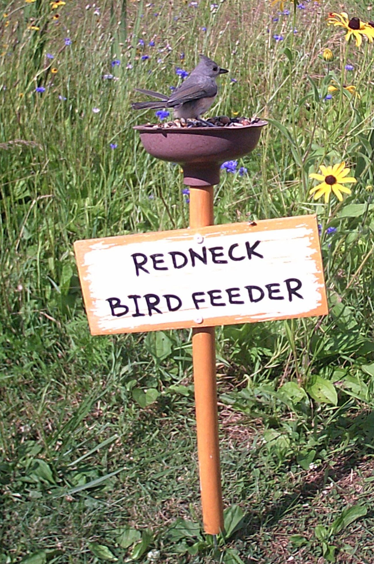 Redneck Bird Feeder / Bird Bath. Made from a Toliet Plunger ...