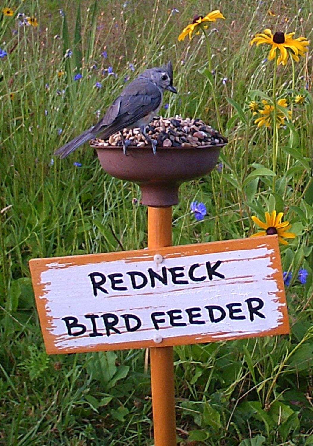 Redneck Bird Feeder / Bird Bath. Made from a Toliet Plunger ...